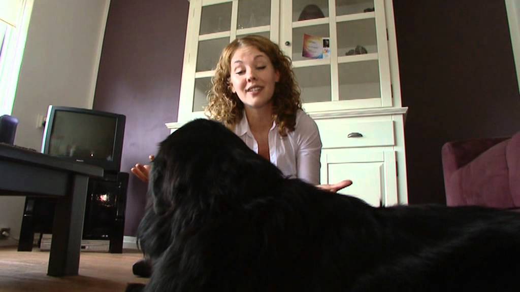 Els Basten Animal Communicator & Healer Reportage - YouTube