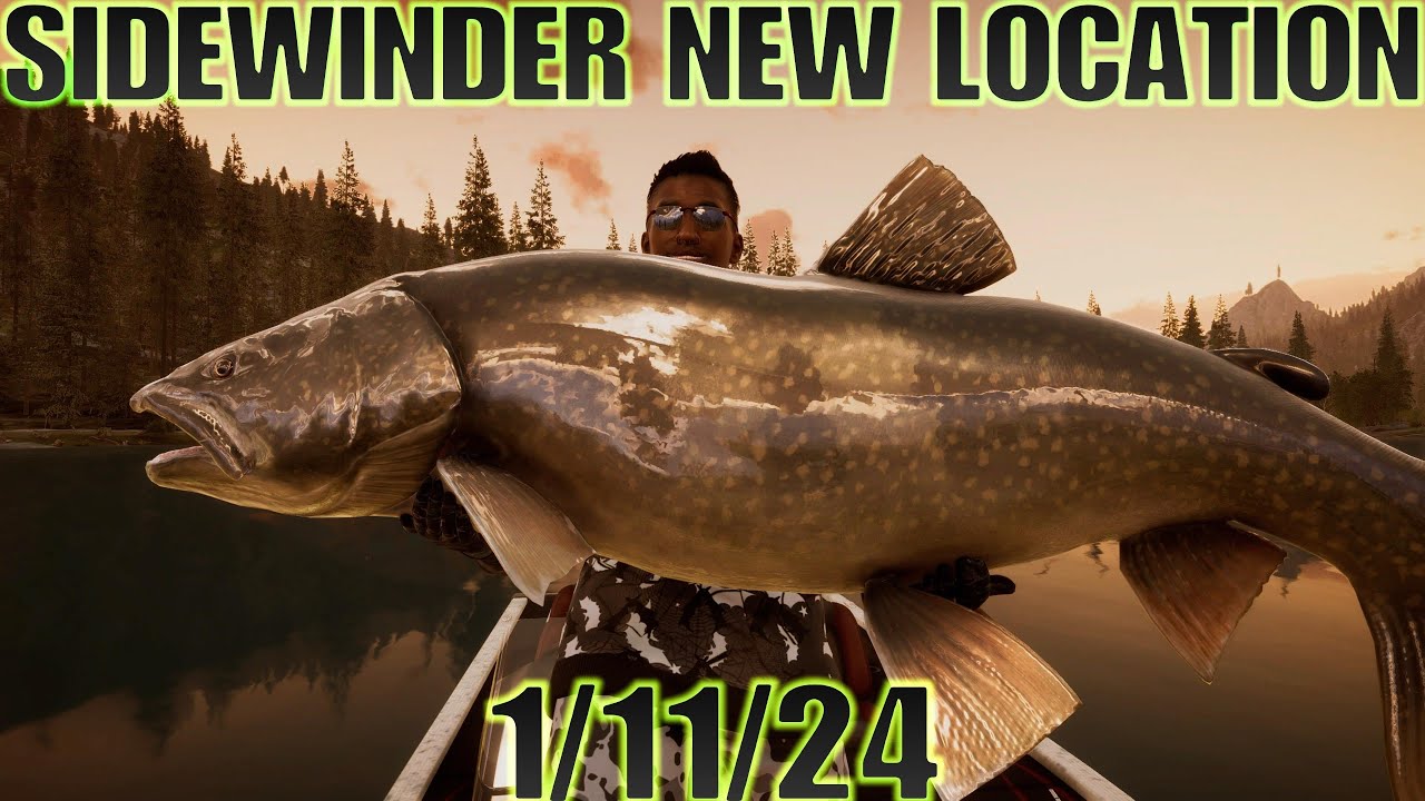 SIDEWINDER The Legendary Fish For This Week 1/11/24 - New Location ...