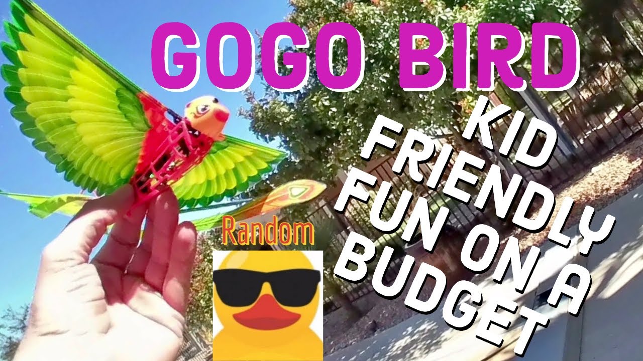 GOGO BIRD | By Havanon | Kid Friendly Fun | Fun on a Budget - 😎 Steve ...