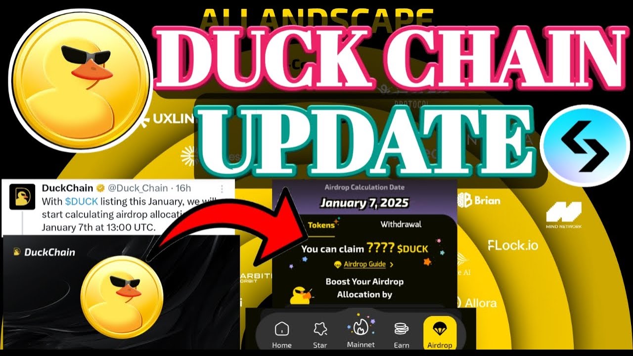 DuckChain Allocation Update। Duck Chain New Update। Duck Chain Update ...