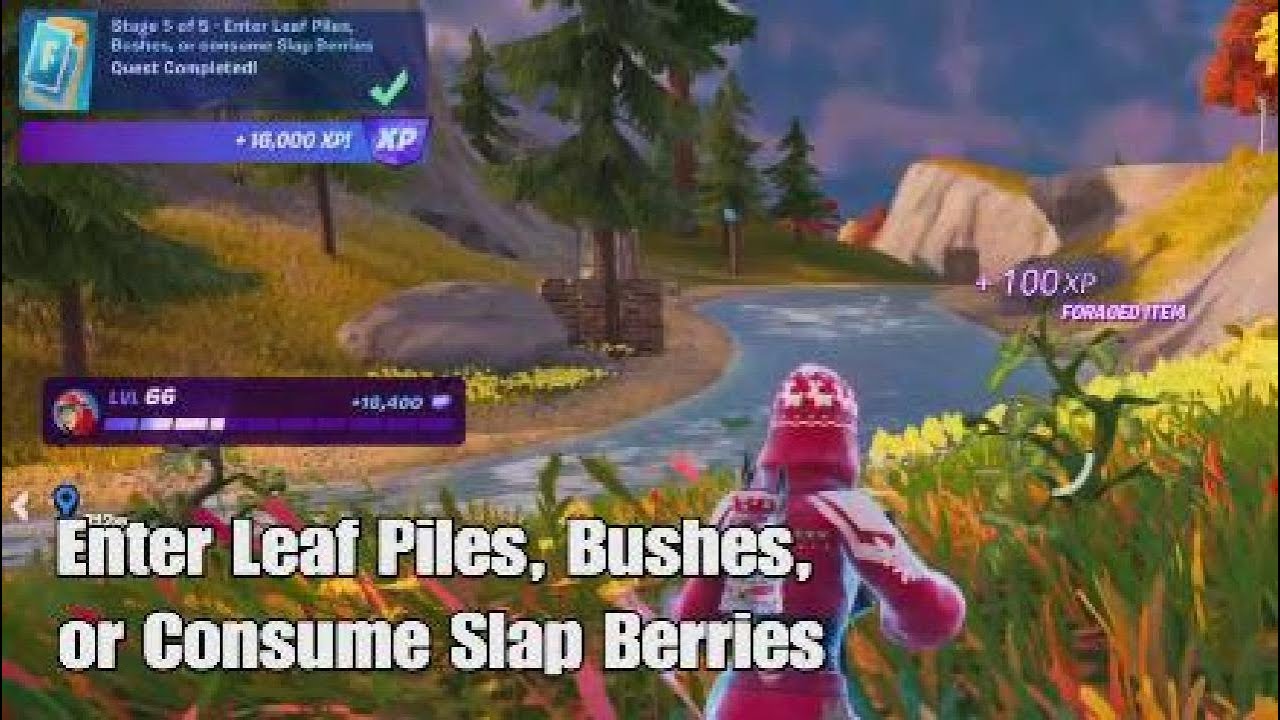 Enter Leaf Piles Bushes or Consume Slap Berries - Stages 1 to 5 ...