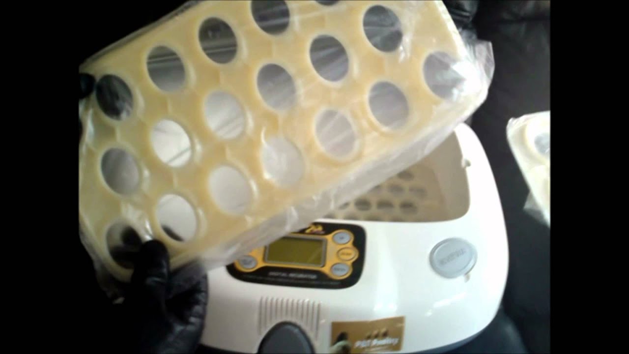 MY NEW R COM 20 PRO INCUBATOR - YouTube