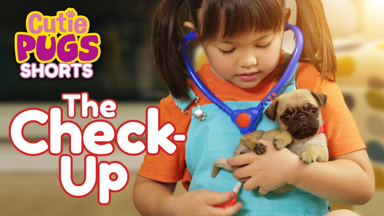 Playing Doctor🧑‍⚕️ | Cutie Pugs🐶 | Animals for Kids🐾 - YouTube