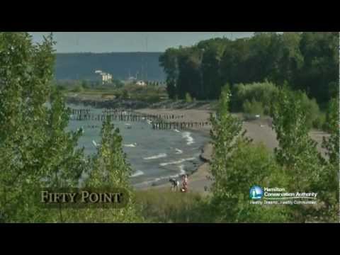 Fifty Point.mpg - YouTube