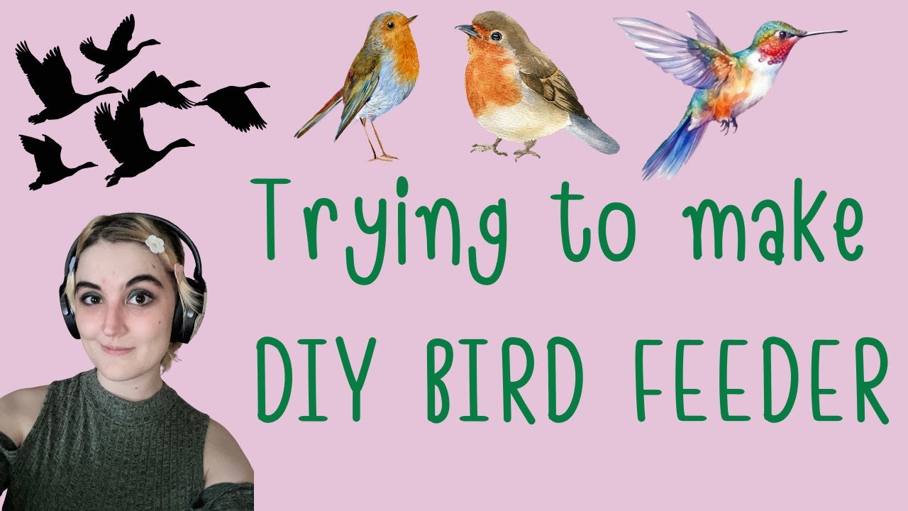 Trying to Make a DIY Bird Feeder!! - Agere/Littlespace Kidult ...