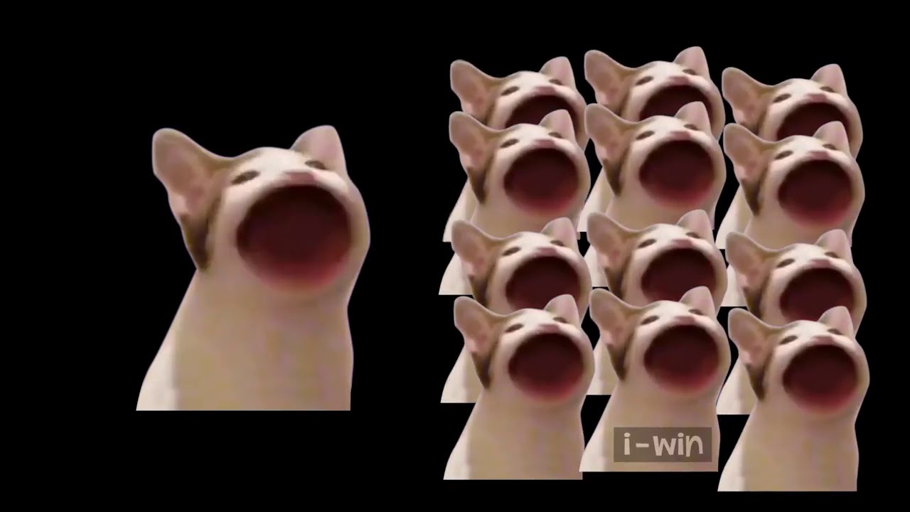Cat Pop Bohemian Rhapsody - YouTube