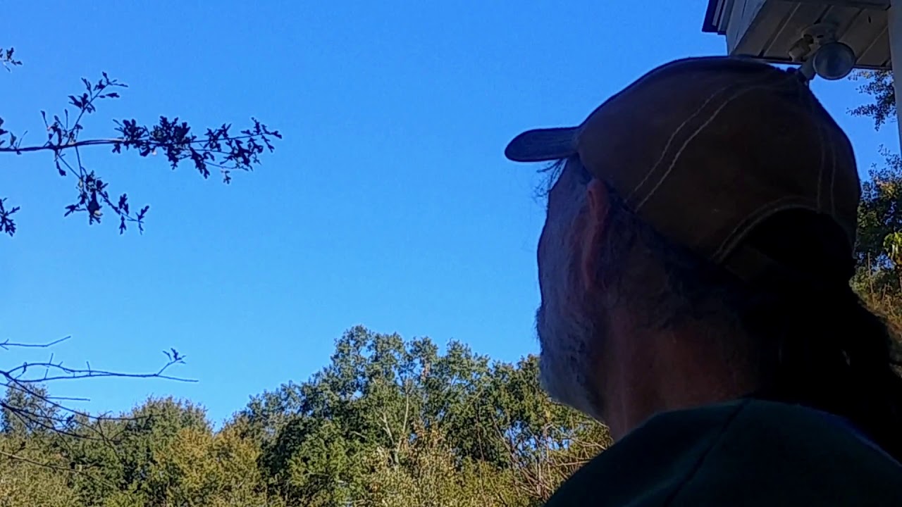 TALKING to the ANIMALS | Crows | Man and Nature - YouTube