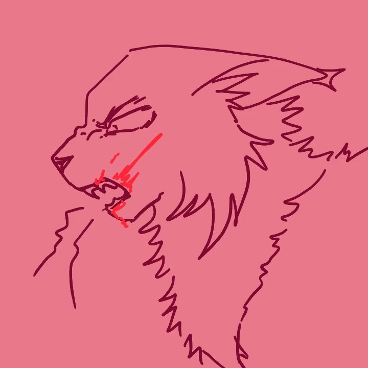 Angel || Hawkfrost and Leafpool PMV - YouTube