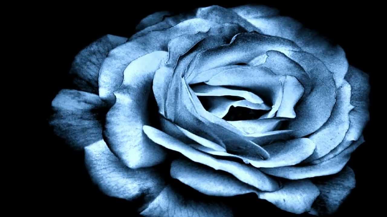 Blackmore's Night - Ghost Of A Rose - YouTube