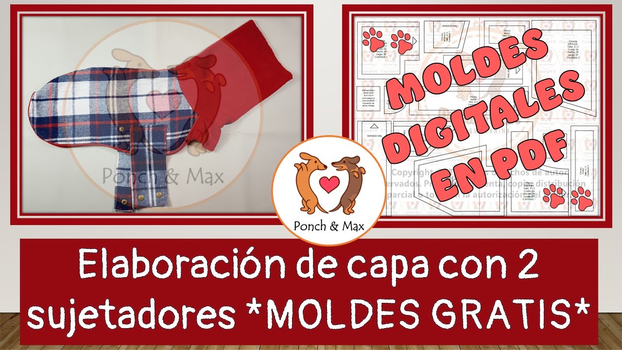 DIY 🐶 Elaboración de Capa con 2 sujetadores. Capa para perro📌 🥰 Ropa ...