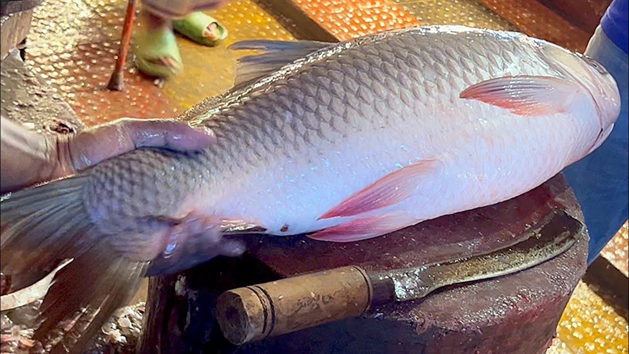 Amazing Cutting Skills | Giant Rohu Fish Cutting Skills By Expert Fish ...