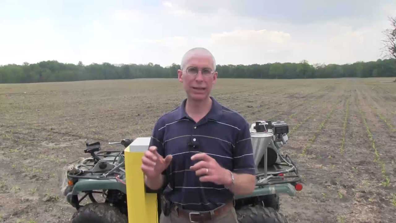 Farms.com Corn Report: Tools for Early Season Corn Crop Scouting. Part ...