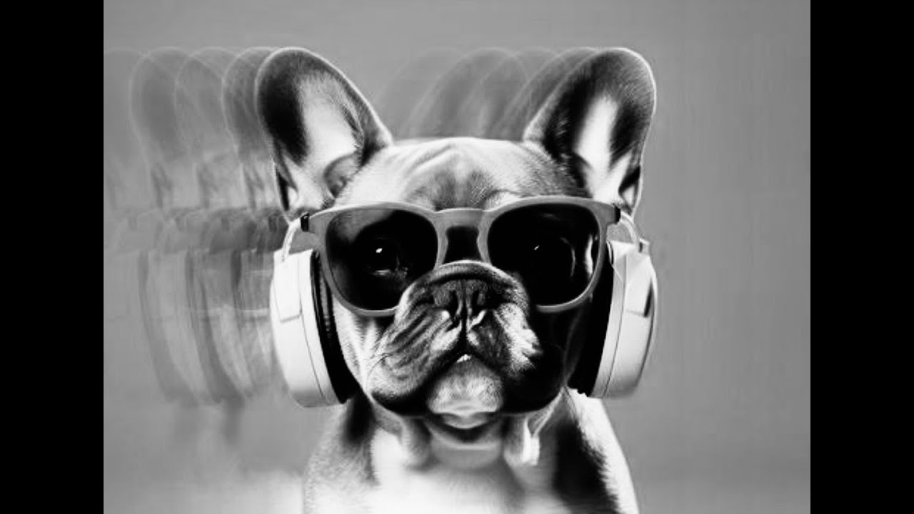 House Music Beats - YouTube