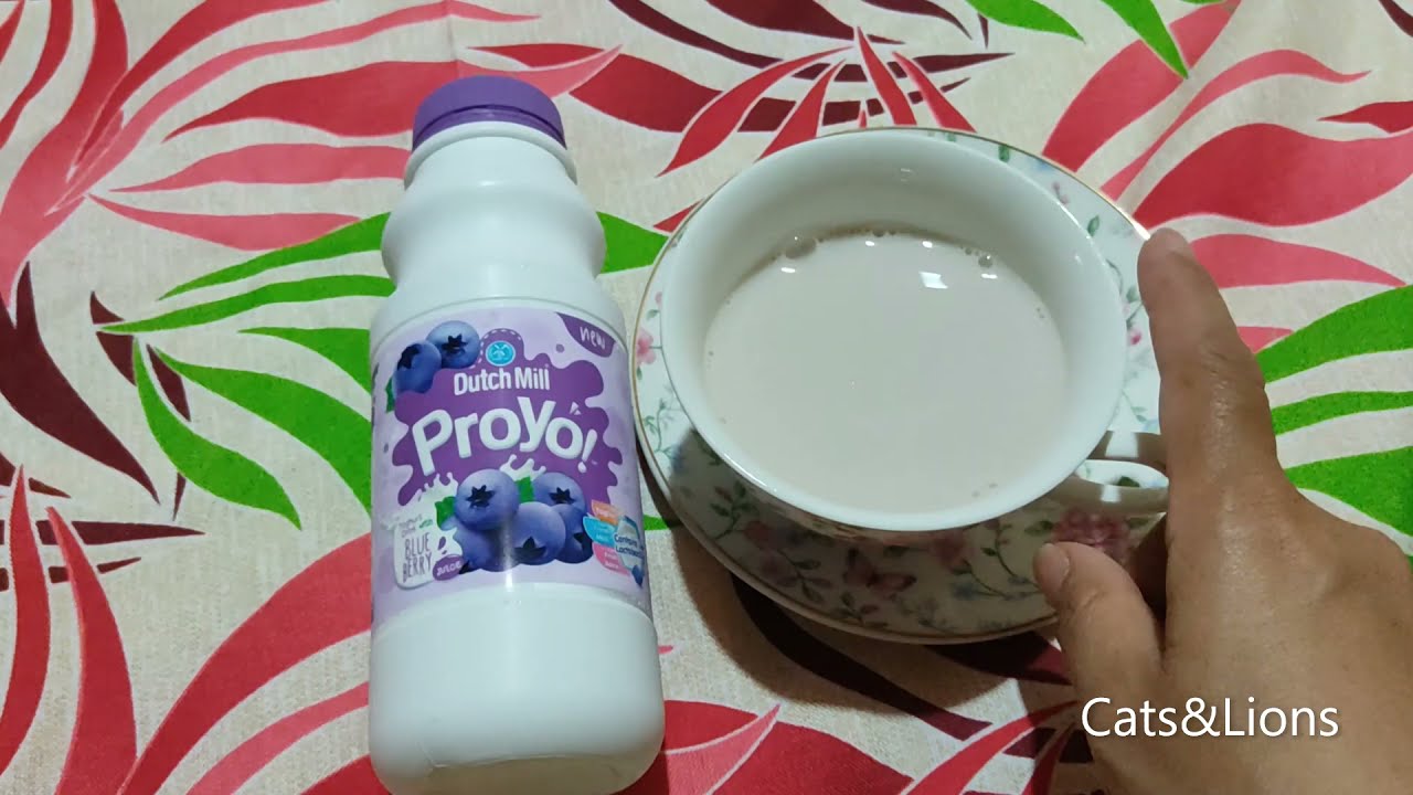 Dutch Mill Proyo Yogurt Drink with Blue Berry Juice Review - YouTube