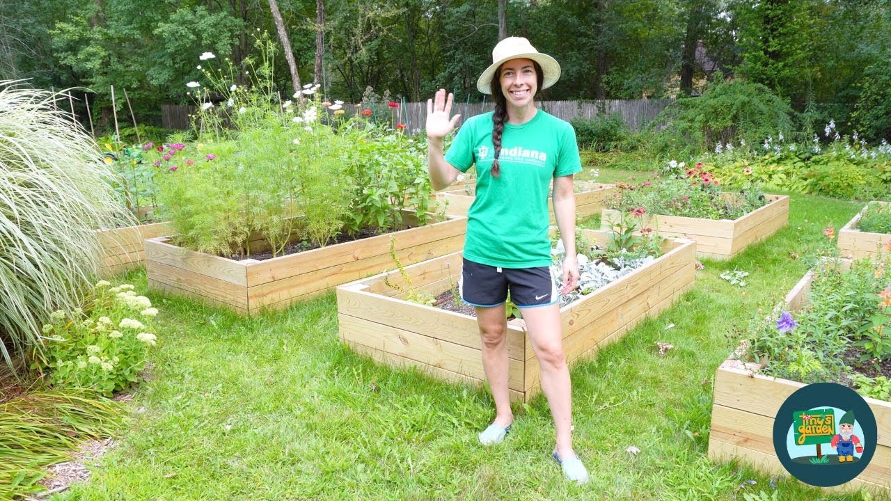 August Cut Flower Garden Tour in Zone 5B! Starting to Let Cool Flowers ...