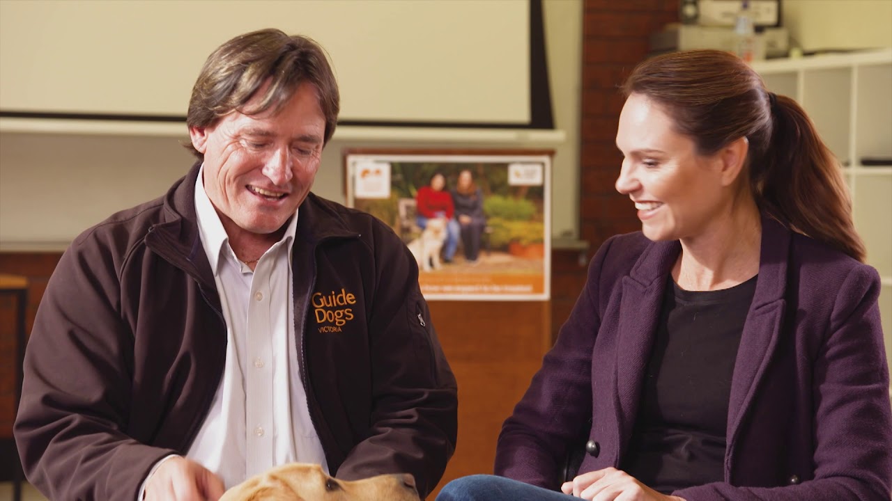 Guide Dogs Australia - expert information on Guide Dogs | S4 | Ep4 ...