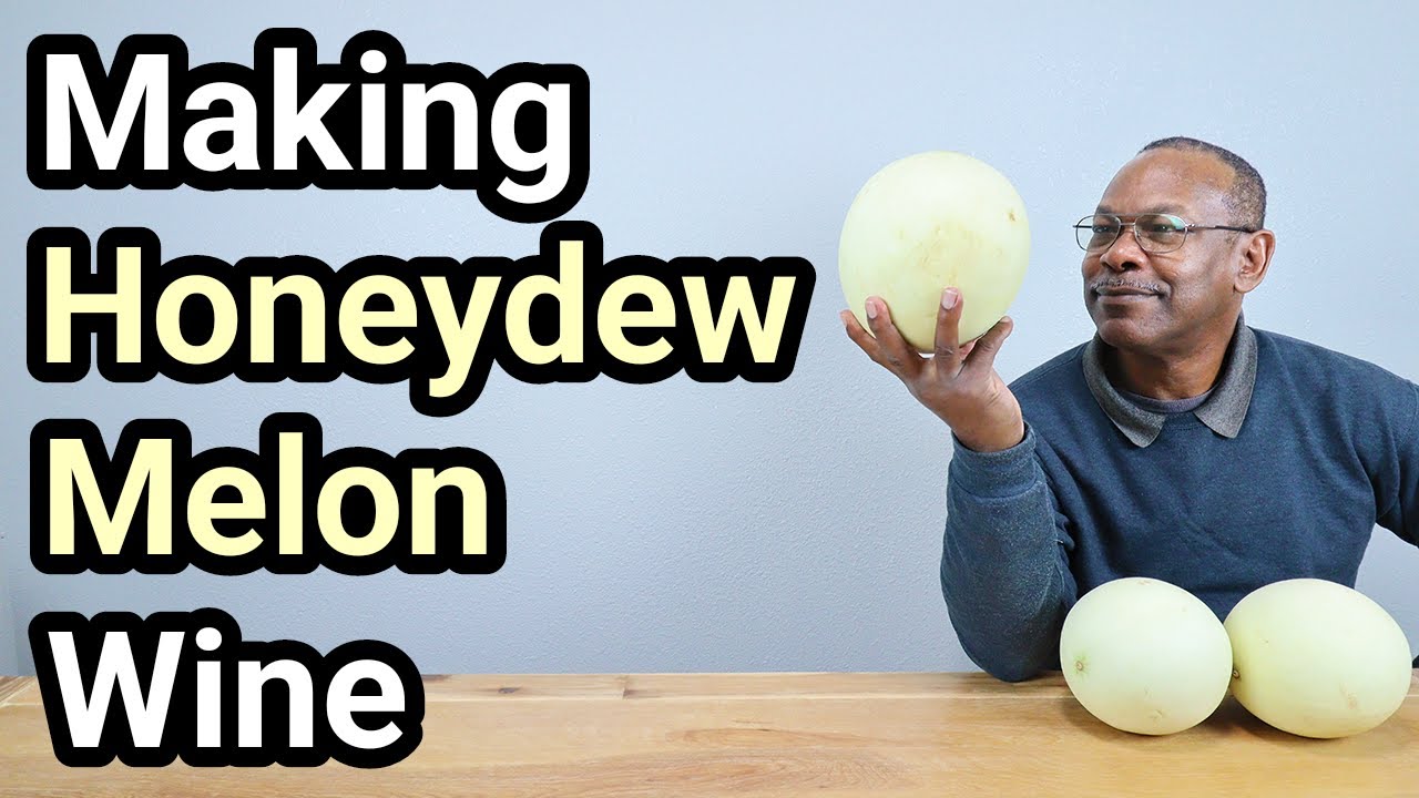 Making Honey Dew Melon Wine - YouTube