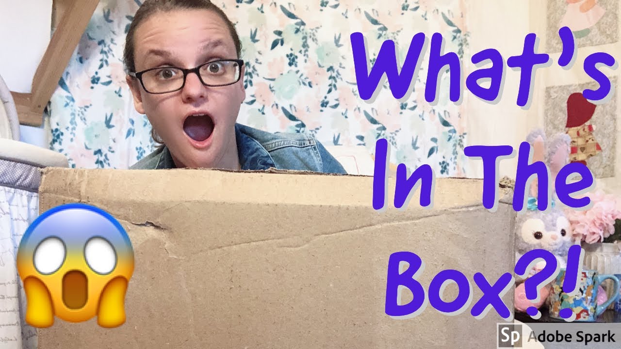 Husband Sends HUGE Mystery Reborn Baby Doll Box Opening! - YouTube