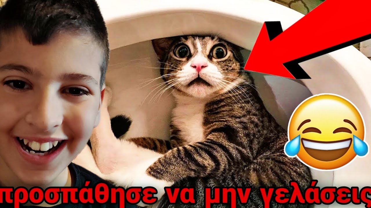 Προσπαθησε να μην γελασεις [CHALLENGE] - YouTube
