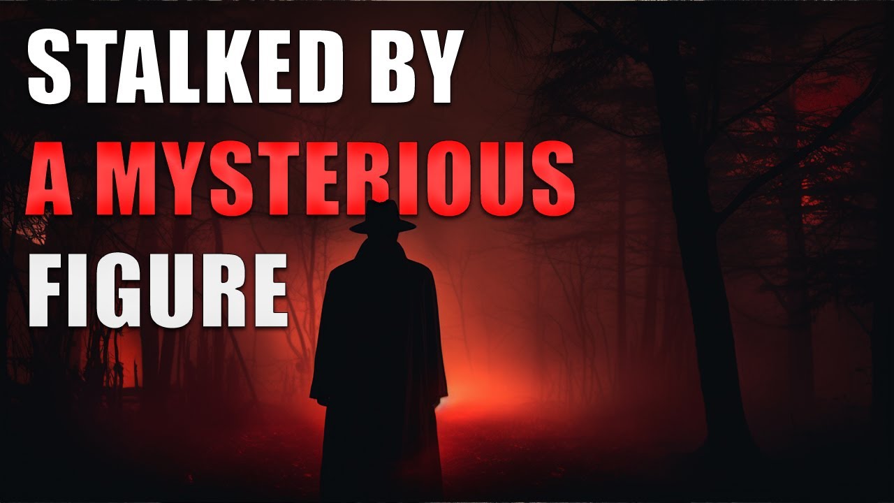The SCARIEST forest in Czech Republic, Branisovsky Les, Bor - YouTube