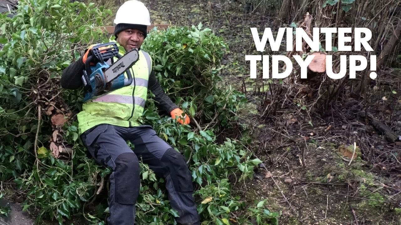 Winter Clearance ||Tree cutting || Gardening and Landscaping - YouTube