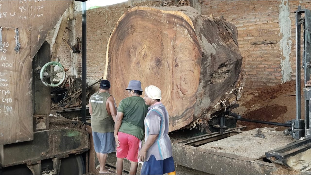 Batang kayu yang menakjubkan !! Kayu menyerupai bentuk bunga di proses ...