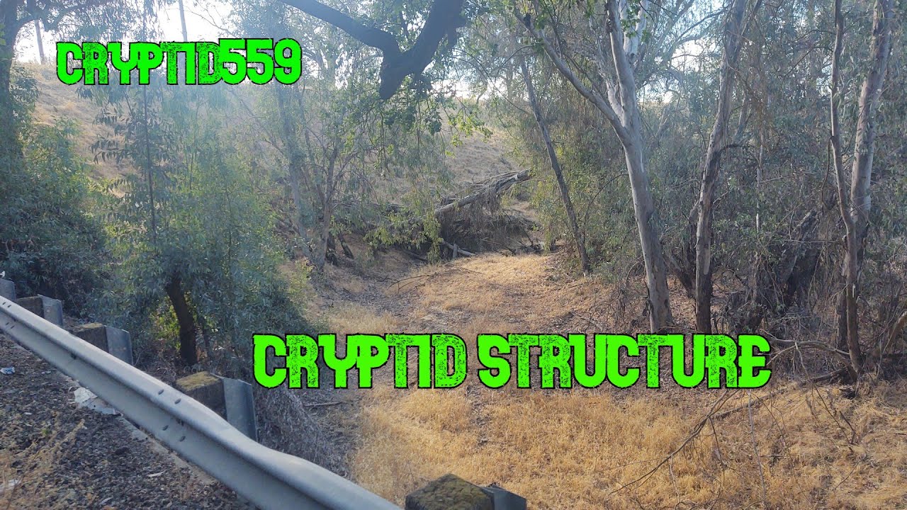 Cryptid Structure - YouTube