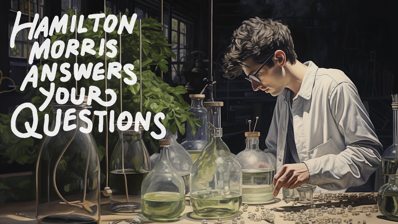 Hamilton Morris Answers All Your Questions - YouTube