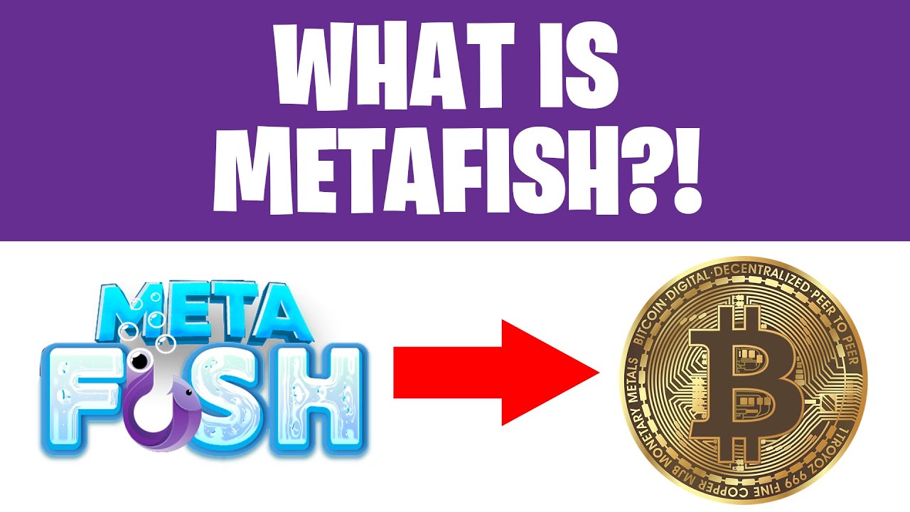What Is METAFISH?! Play To Earn Metaverse Fishing Game | BEST Play To ...