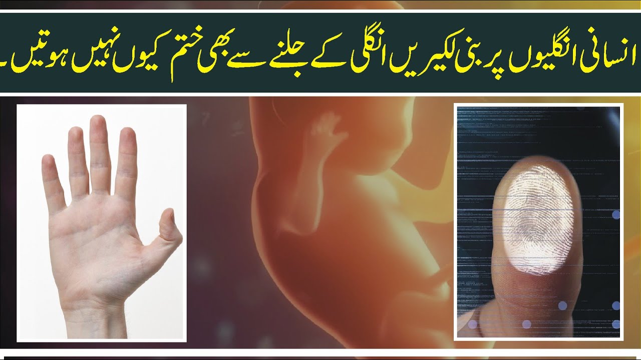 Your Finger Shape Determines Your Health and Personality - YouTube