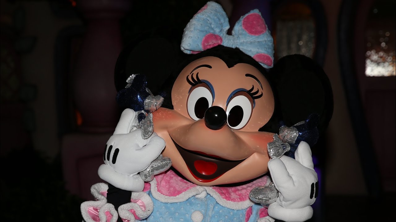 Minnie Mouse Meet & Greet at Disneyland 60th Anniversary 24 hours Party ...