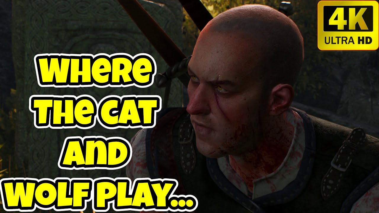 The Witcher 3 Where the Cat and the Wolf Play... Walkthrough - YouTube