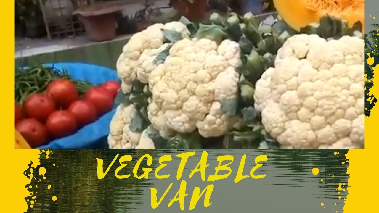 Vegetable Selling Van | Customar and saler Bargaining | Different types ...
