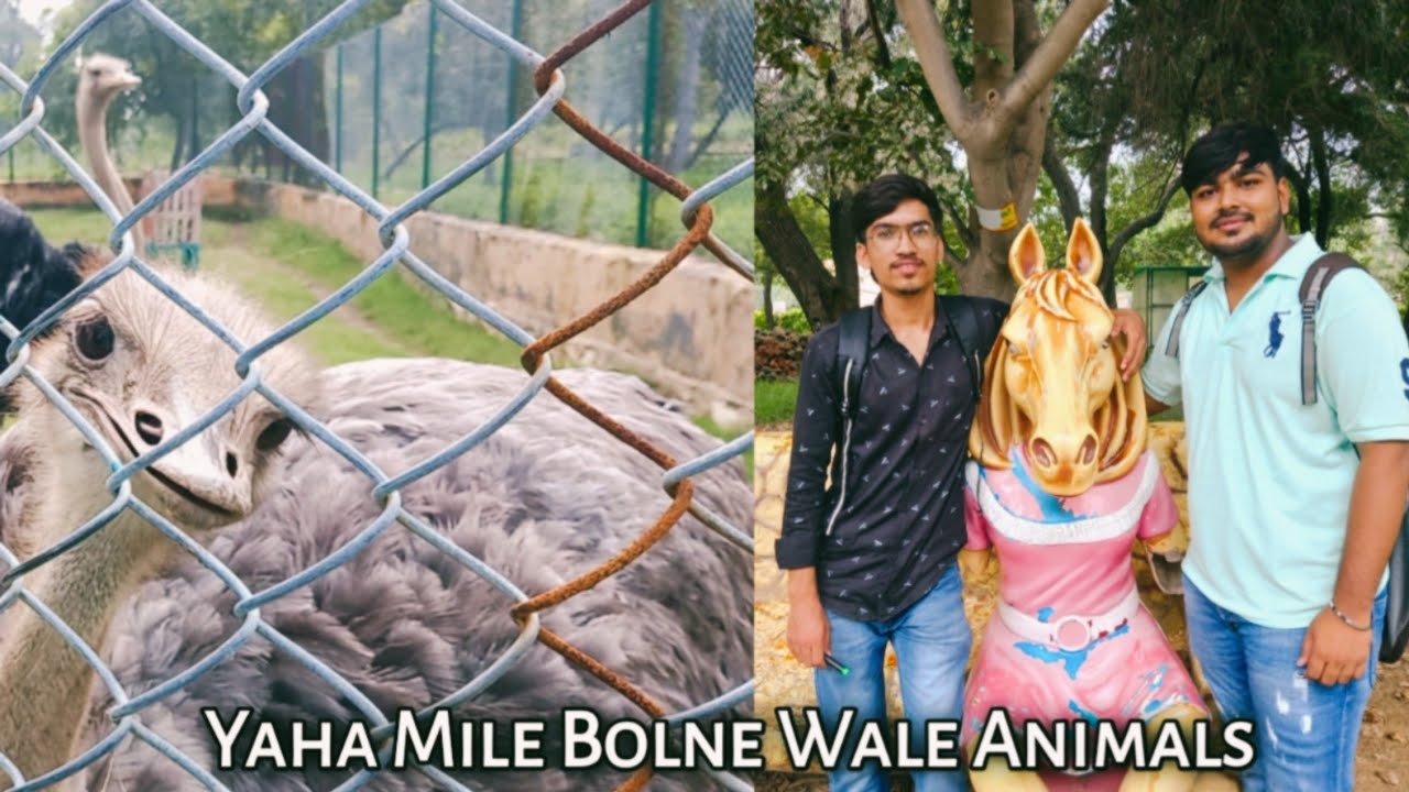 Most Famous Place Of Rohtak | Tilyar Lake | VLOG #42 - YouTube