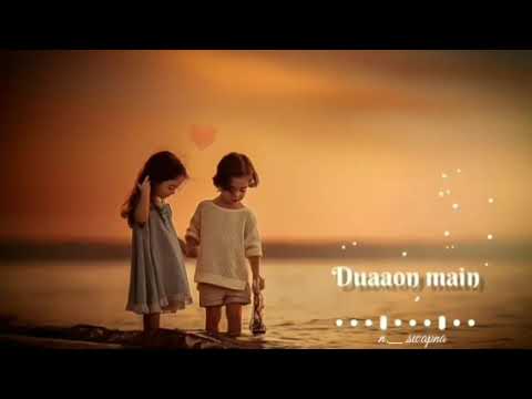 Teri hi galiyo main avara sham hai |  whatsapp status | status video