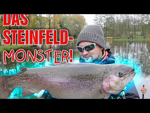 Auf der Jagd nach der RIESEN Forelle | Lachsforellenangeln im Angelpark ...