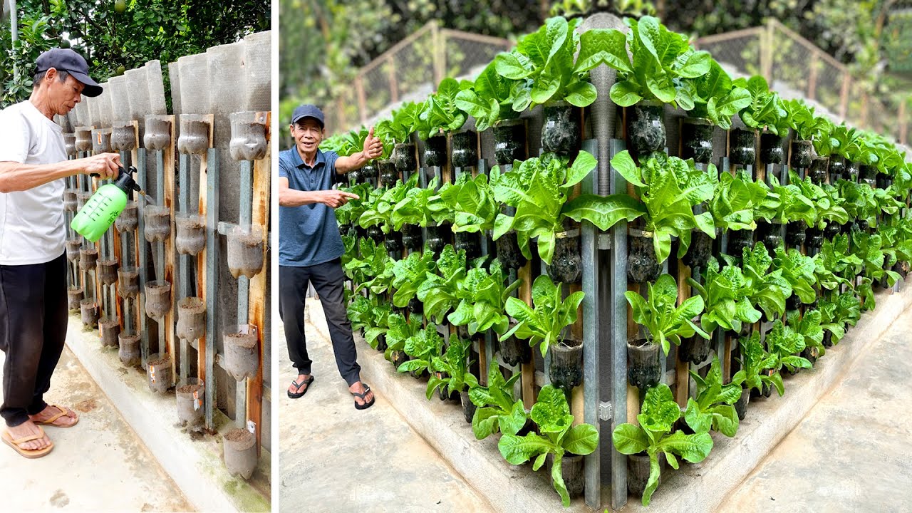 Good Ideas From Plastic Bottles, Have A Beautiful Vegetable Garden ...