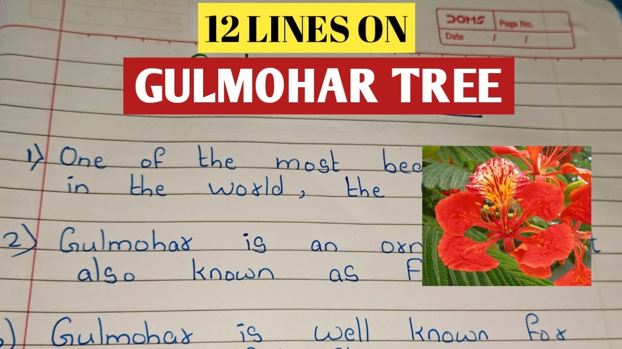 Essay on Gulmohar Tree in english/ 12 Lines on Gulmohar Tree - YouTube