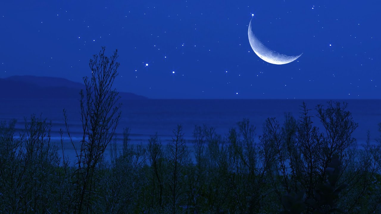 Crickets at the Beach | Binaural Nighttime Ambience | Nature Sounds for ...
