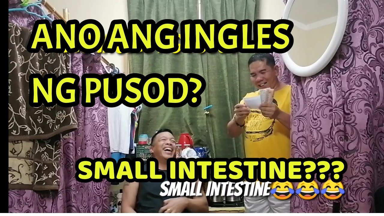 ANO ANG INGLES NG PUSOD (Small Intestine) LAPTRIP| PART 3| MABUHAY VLOG ...