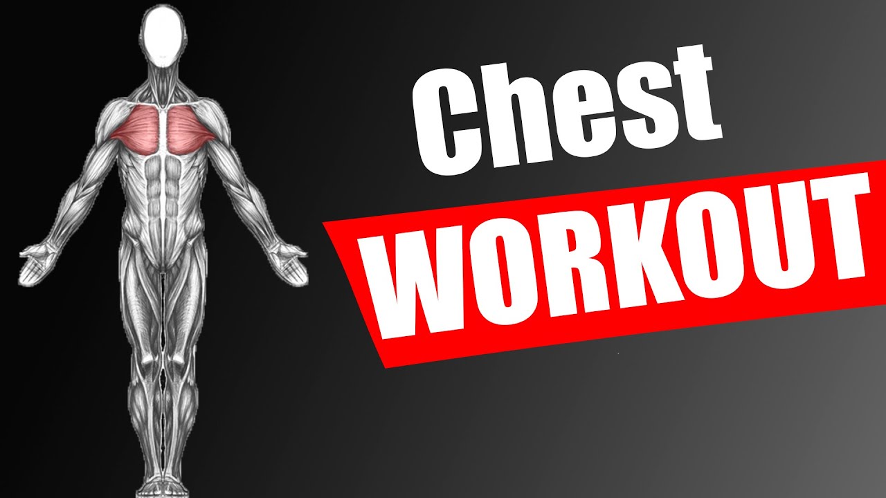 Chest Workout At Home Using Only Bodyweight Exercises every day ...