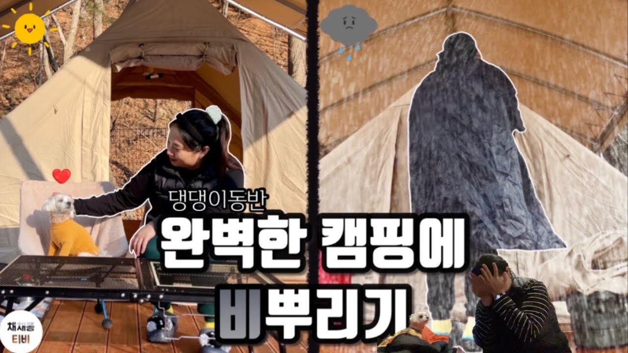 완벽한 반려견 전용 캠핑장 But 겨울 우중캠핑 캠핑브이로그 솔로캠핑 캠핑요리 네이처하이크에어텐트63