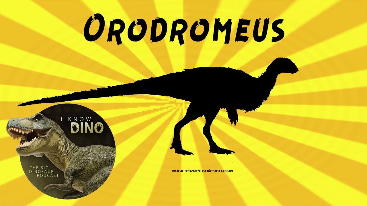 Orodromeus: Dinosaur of the Day - YouTube