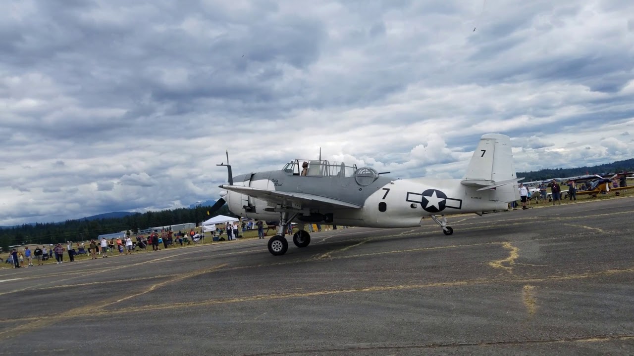 My experience at the 2018 Arlington Fly-in, 50th - YouTube