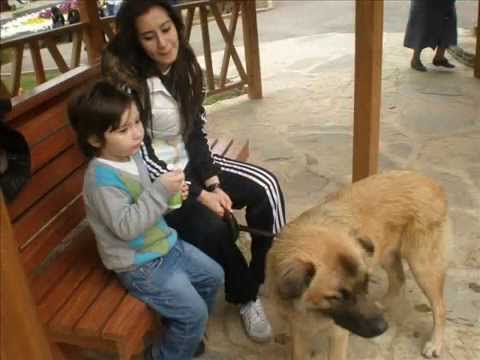 bugün benim aşkımın doğum günü :))