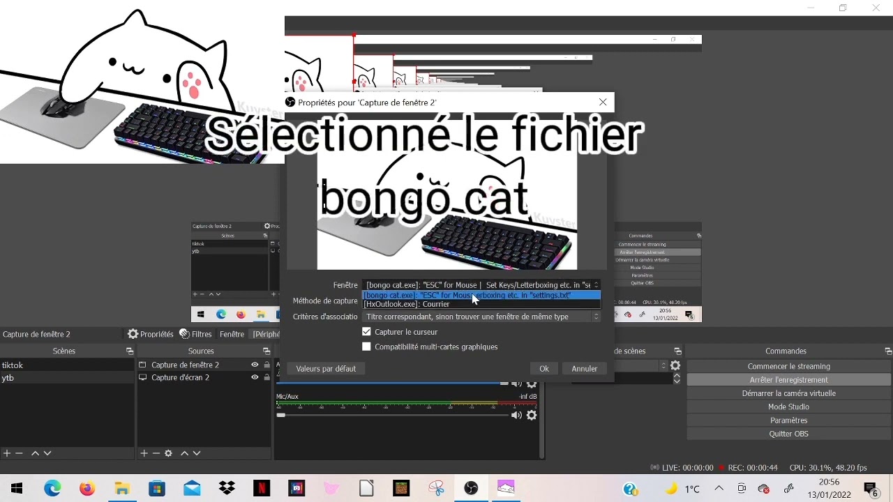 comment mettre bongo cat sur obs 👌 - YouTube