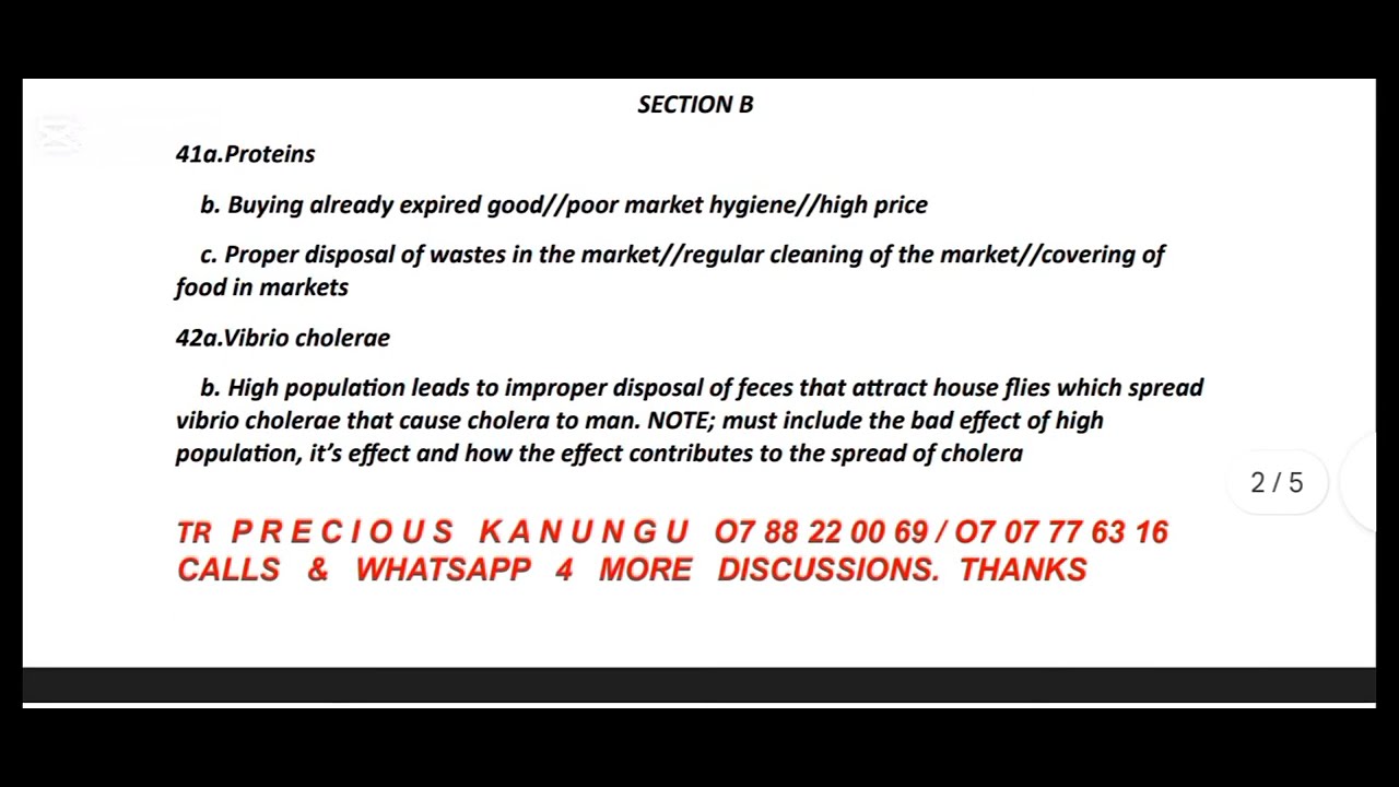 PLE 2024 Science Possible Marking Guide - YouTube