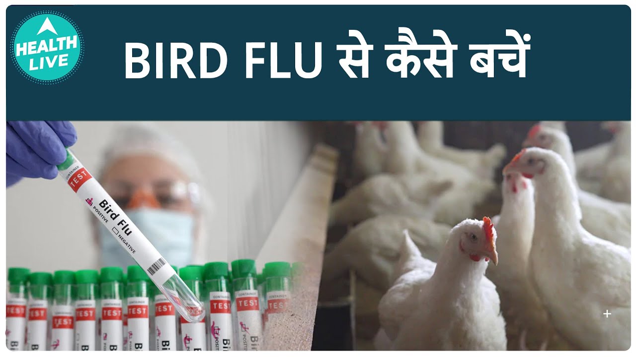 जाने Bird Flu से बचने का तरीका | Bird Flu | Health Live - YouTube