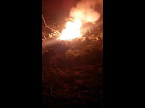 bextiyar aliyev 2016