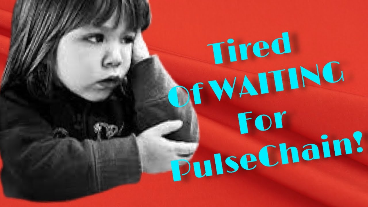 Get MONEY Waiting For PulseChain and PulseX?!? $WAIT Token - YouTube